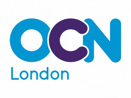 Home Office Funded DHR/DARDR Chair Training - AAFDA